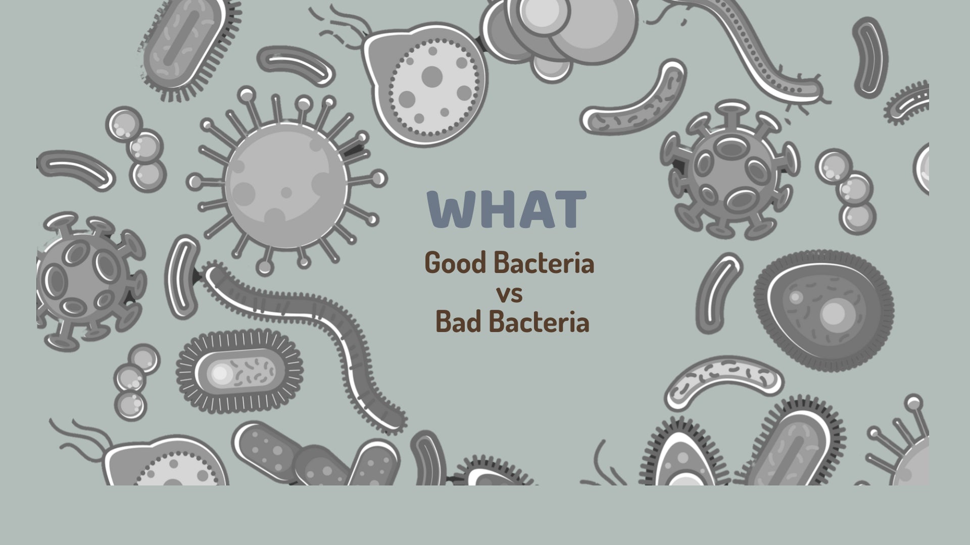 Good Bacteria vs Bad Bacteria – OraTicx